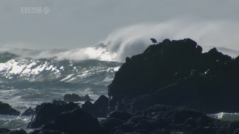 filesdump: BBC Earth : The Power of the Planet HD 720p : Complete 5 Ep.